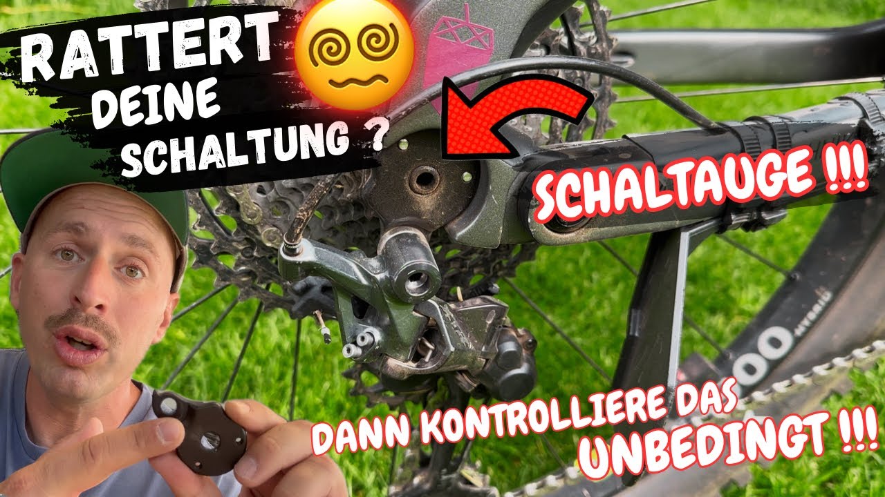 Check das umbedingt wenn deine Schaltung Rattert !!! Schaltauge / UDH ...