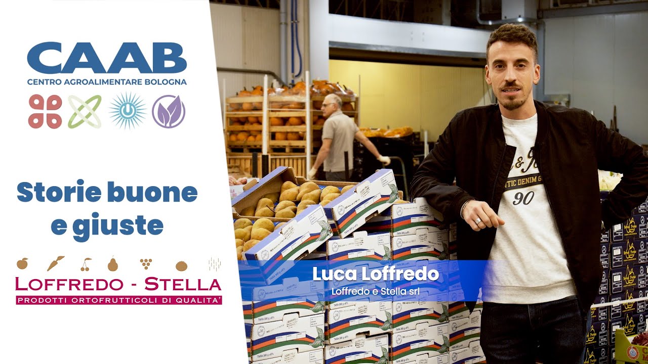 Storie buone e giuste | Luca Loffredo - Loffredo e Stella srl - YouTube