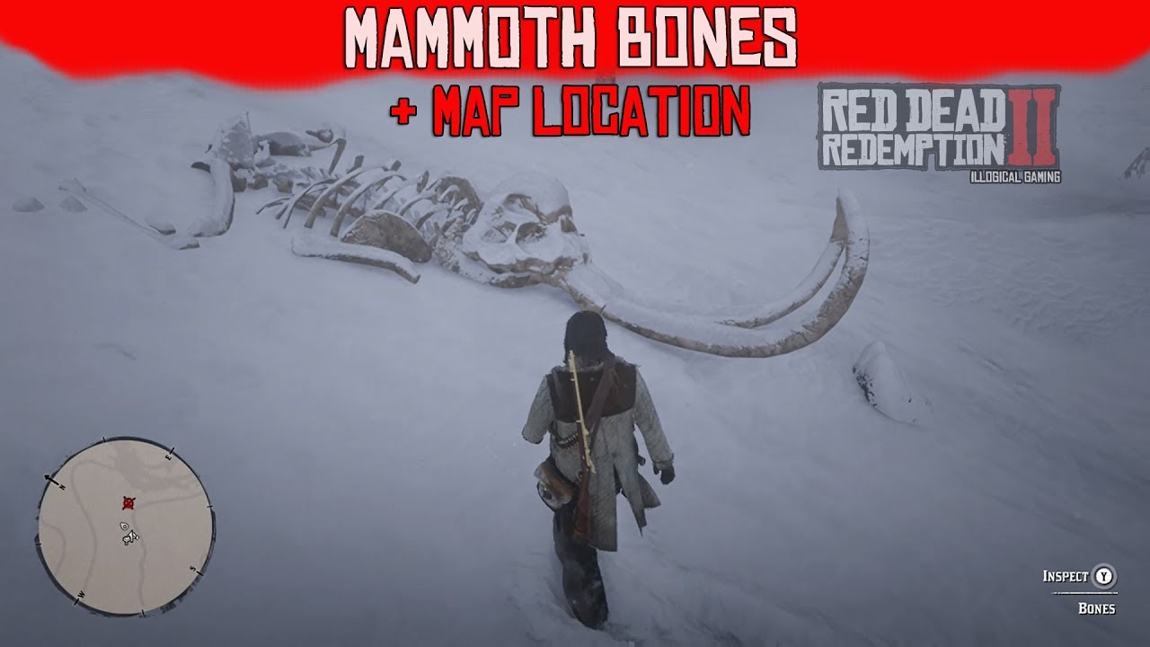 Mammoth Bones - Map Location - Red Dead Redemption II - YouTube