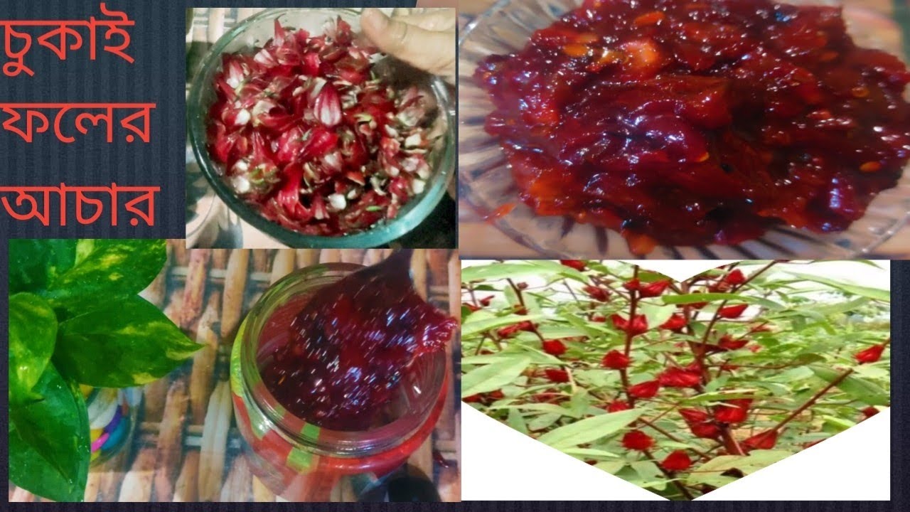 মেস্তা/চুকাই ফলের আচার রেসিপি 🍑🤤||Tasty and Easy recipe||Chukai fruit ...