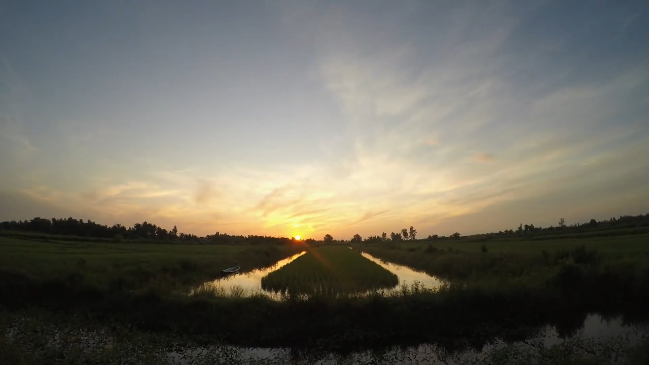 ECOBA Organic Rice - As Nature intended - YouTube