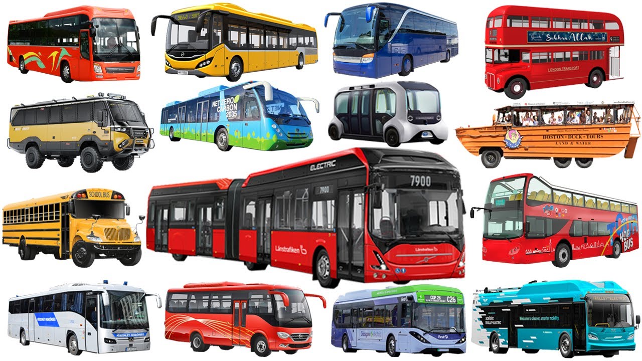 Bus For kids | Learn Bus Name, School Bus, Police Bus, City Bus ...