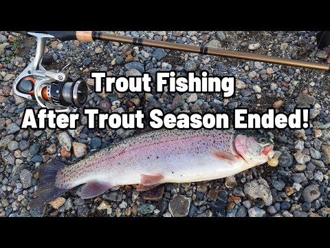 Area Trout Fishing at a Pay Pond in Japan - Kinagawa Fishing Area in ...