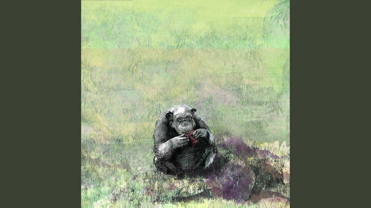 Travis the Chimp - YouTube