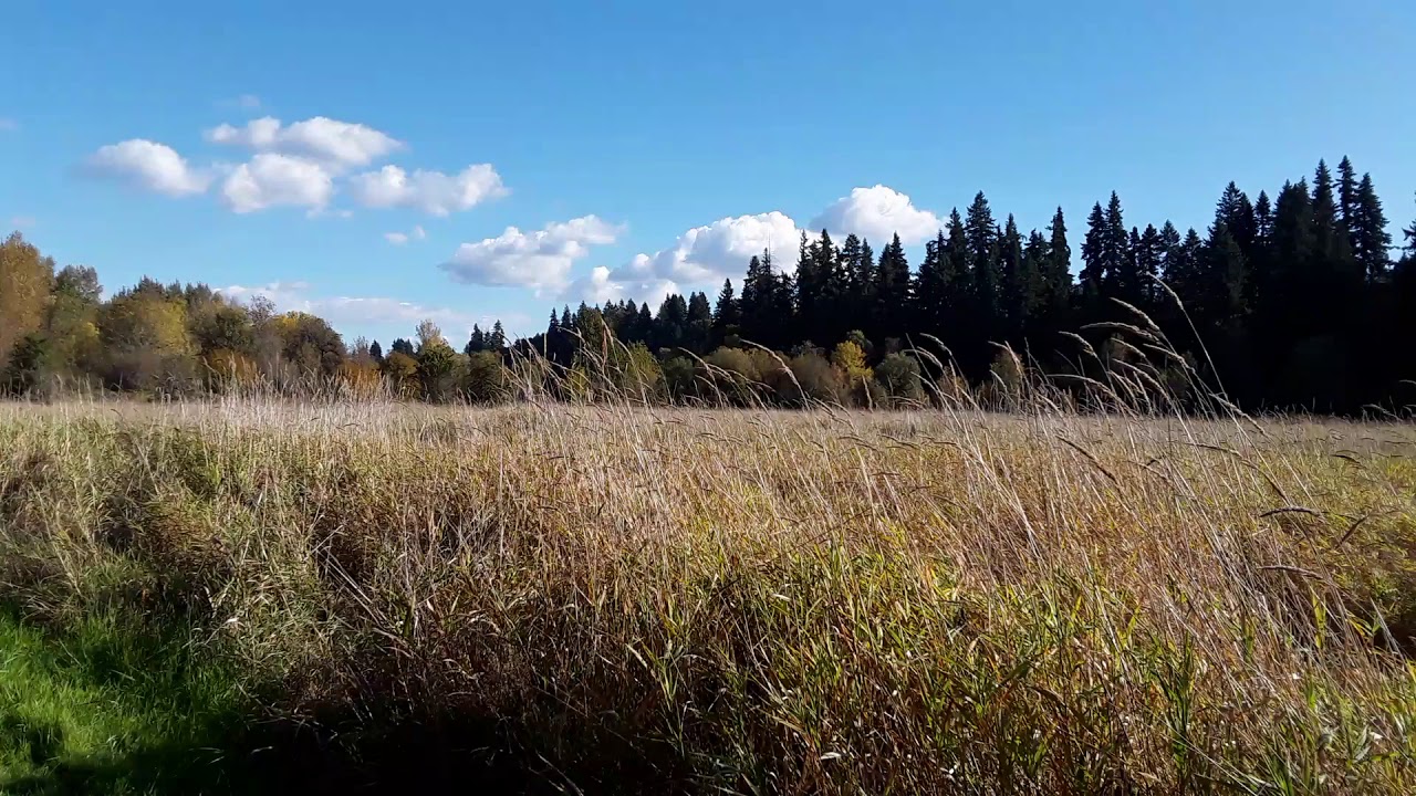 CLINE LINE IN THE COUVE BY MARINA - YouTube