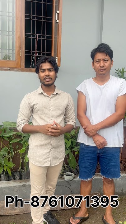 Avocado plant’s delivery to Arunachal Pradesh || Ahmed Nursery #avocado #plants #fruit #viral ...