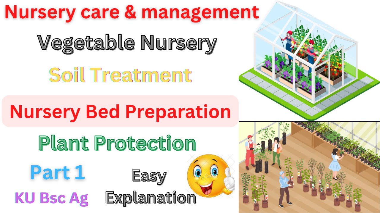 Nursery care & management || Part 1 ||Spice & Vegetables Crop ...