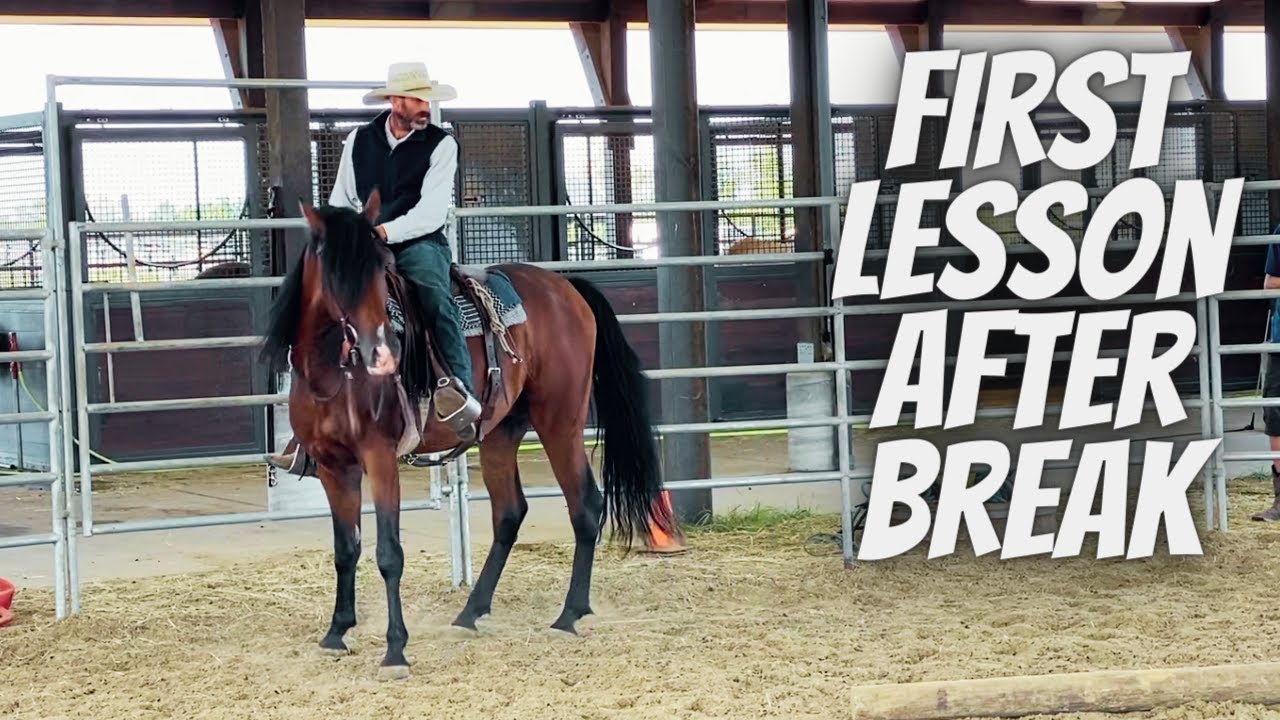 Horseback Riding | First Lesson After Break | Walking Horses - YouTube