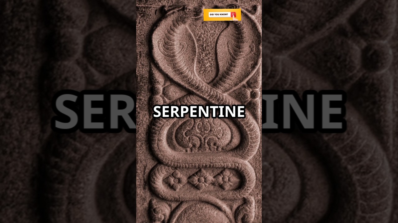 Snake in Mythology: Serpentine Secrets 🐍 - YouTube
