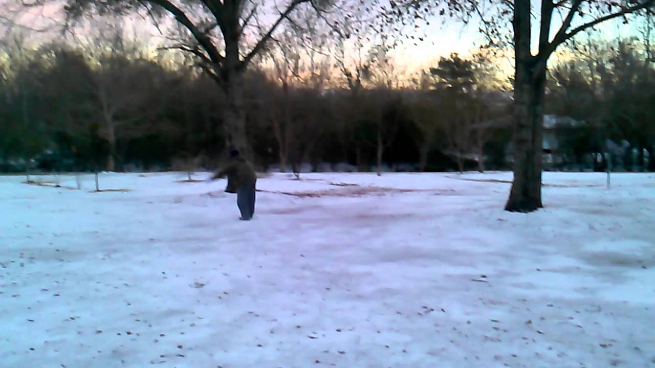 2014 mobile alabama snow - YouTube