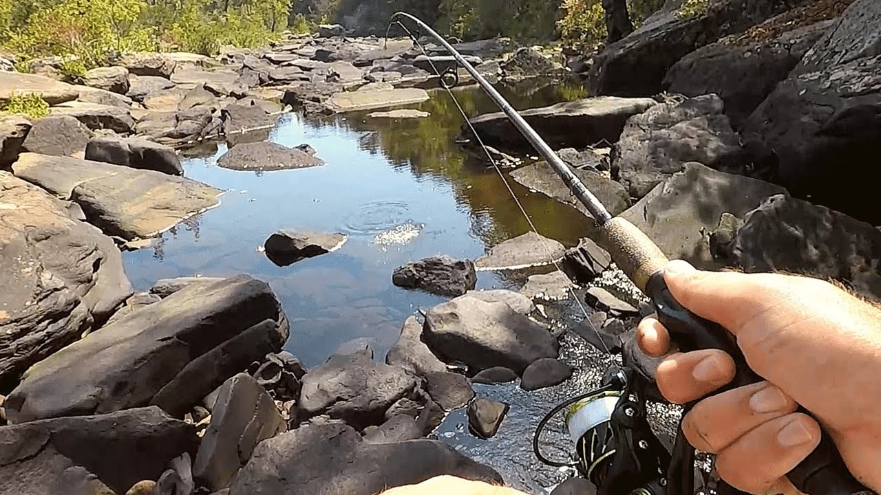 Fishing deep holes in Dried up River (Alabama Part 2) - YouTube