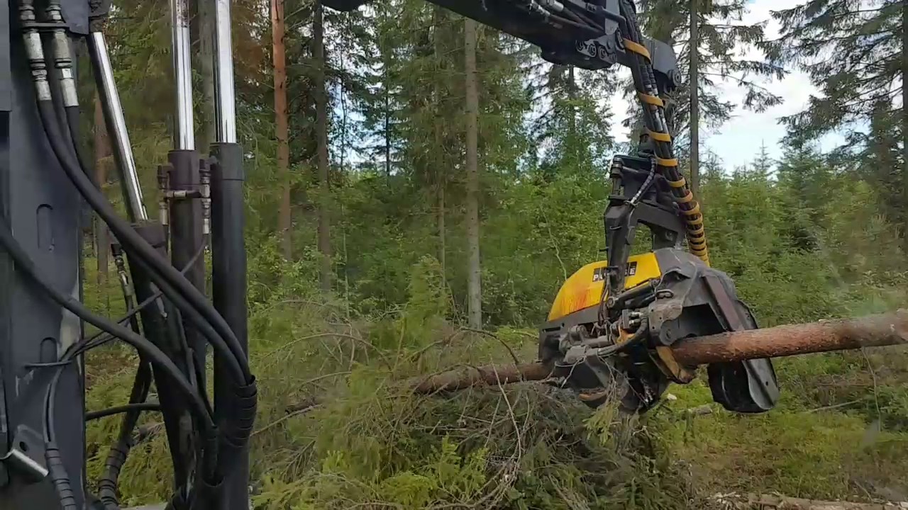 Ponsse Beaver H53e, HN125 - YouTube