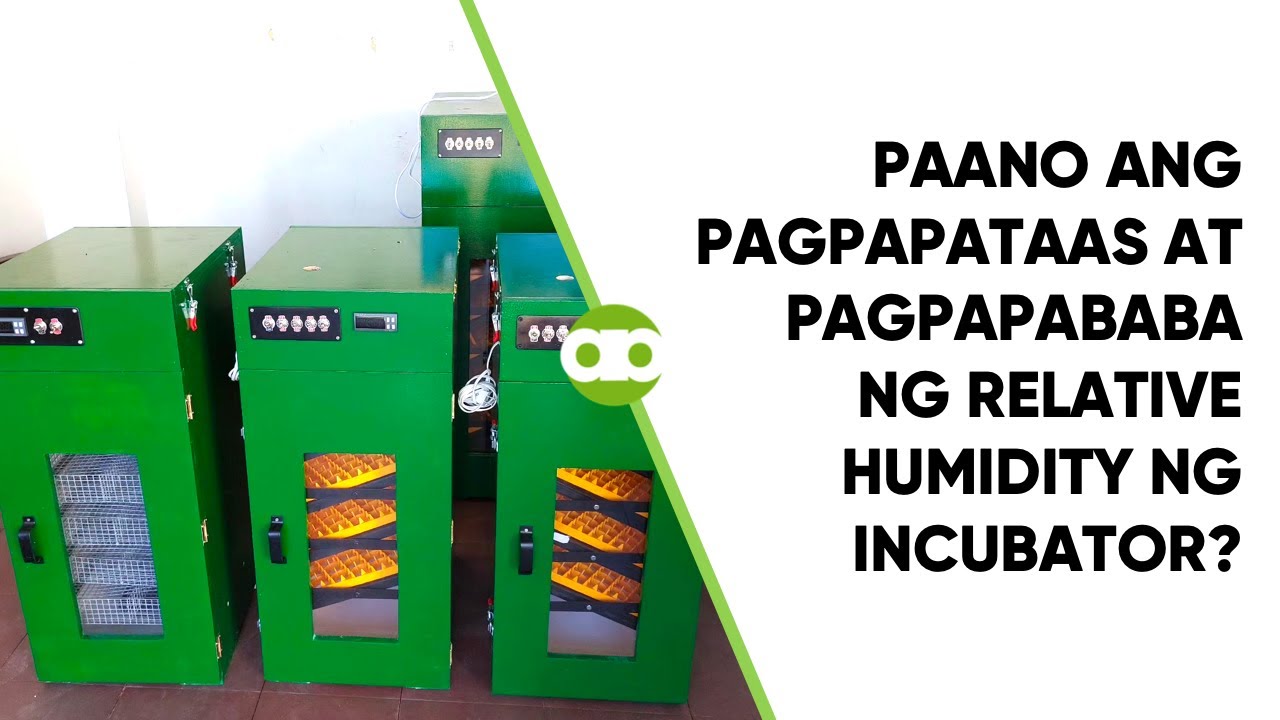 Paano ang Pagpapataas at Pagpapababa ng Relative Humidity ng Incubator ...