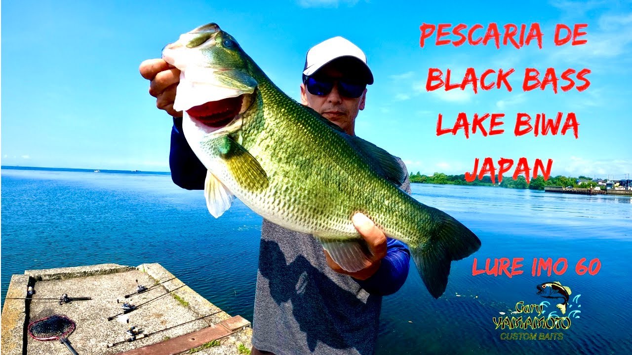 PESCARIA DE BLACK BASS - LAKE BIWA - LURE IMO 60 GARY YAMAMOTO - É ...