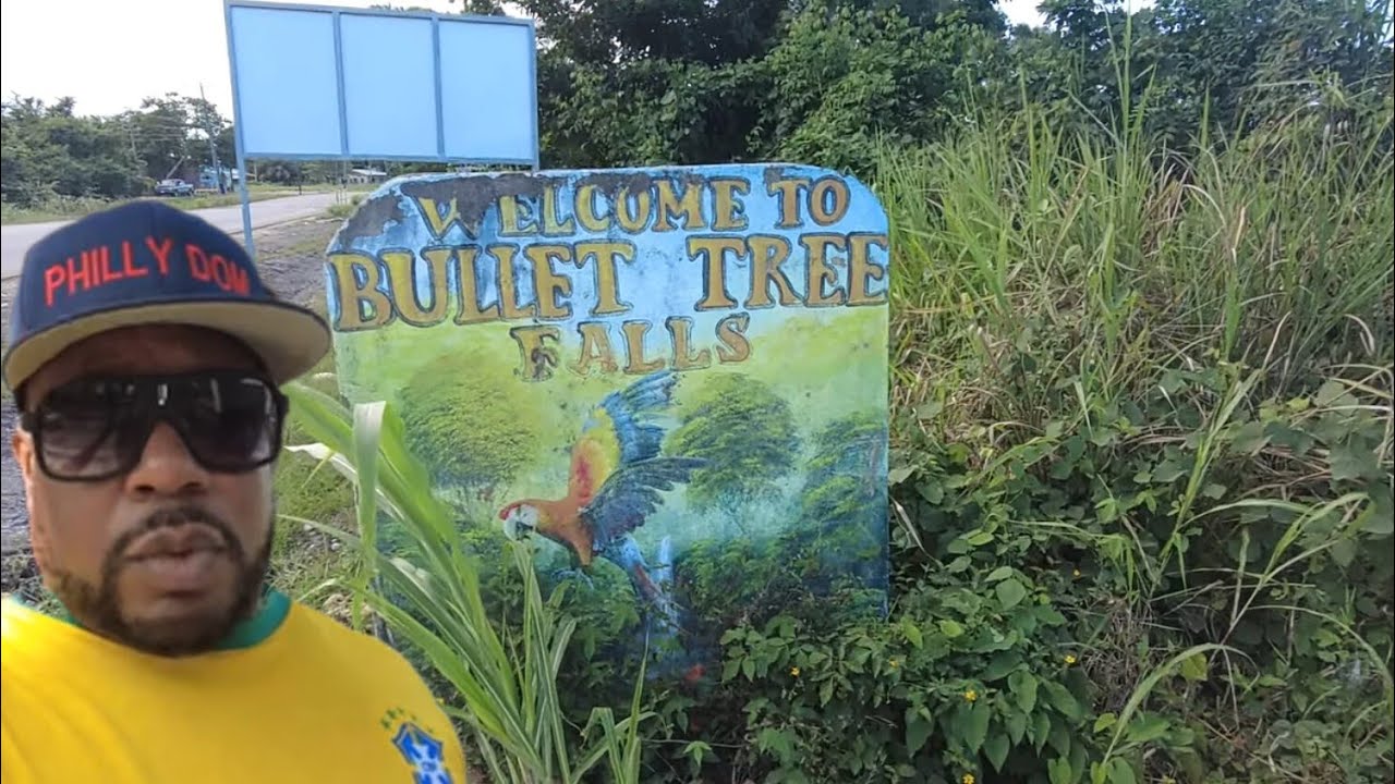 🇧🇿 The REAL Belize that they don't show you Bullet Tree Falls - YouTube