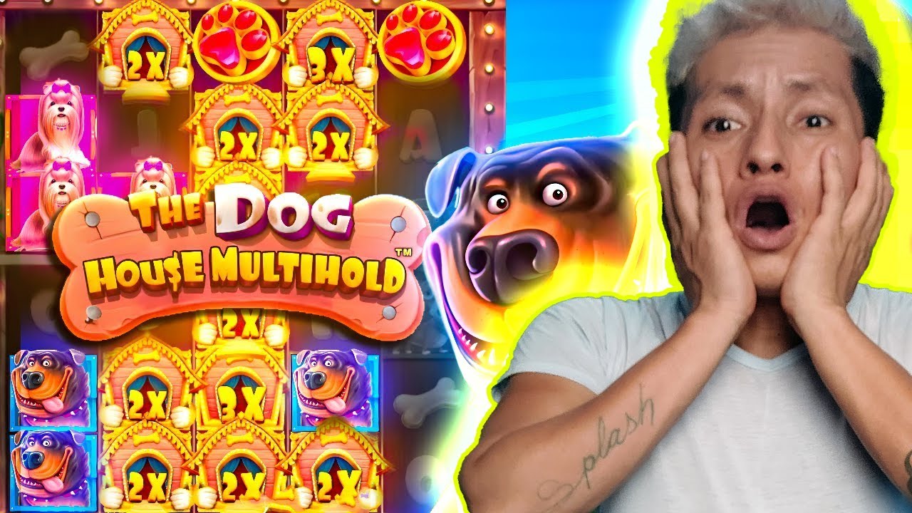 😱DOG HOUSE - PAGO SENSATIONAL!!!!! 😱 - YouTube