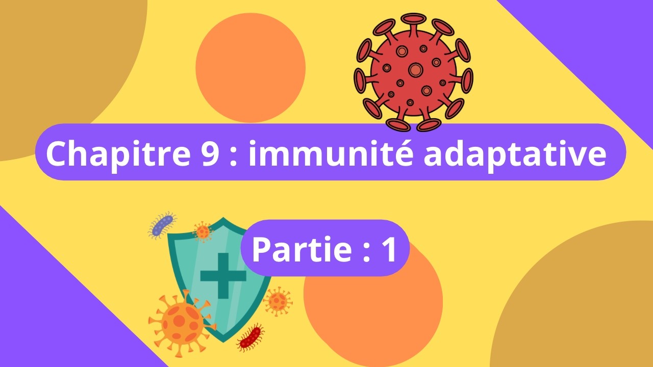 Chapitre 9 L'immunité adaptative humorale : Lymphocytes B et anticorps ...