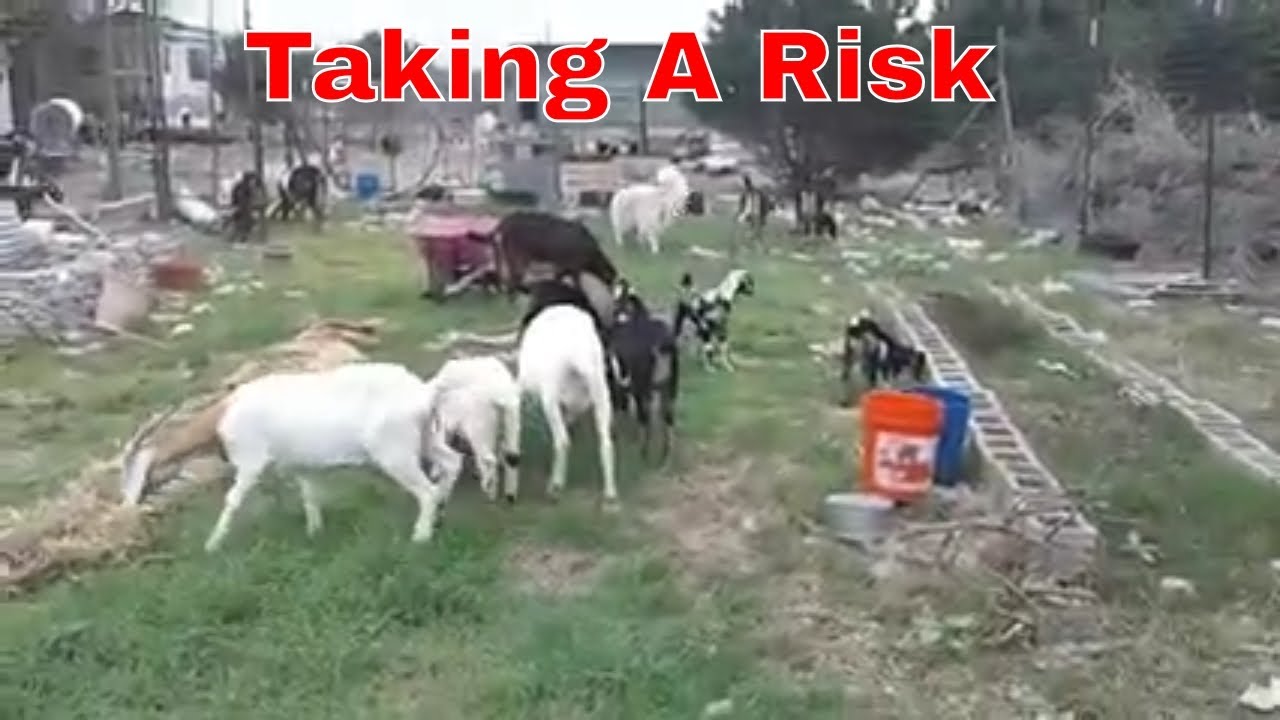 Temporary Solution To A Temporary Problem - YouTube