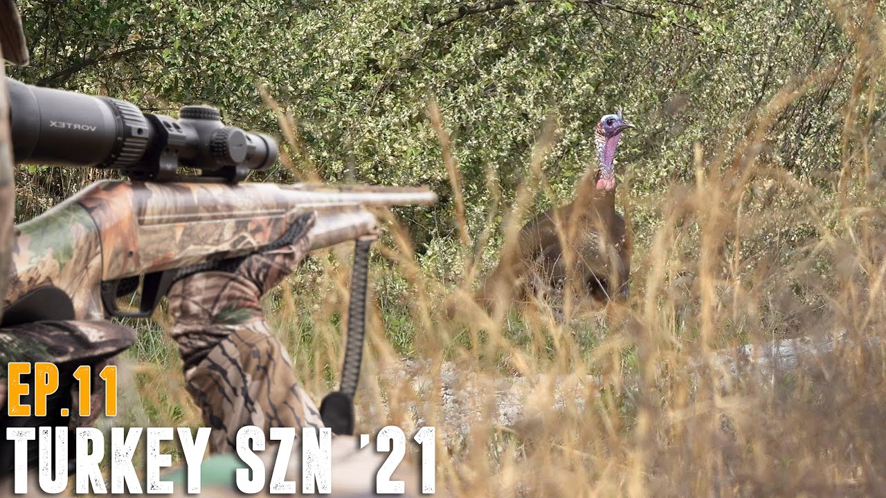 CAN WE DOUBLE UP AGAIN? - West Virginia Turkey Hunting - YouTube