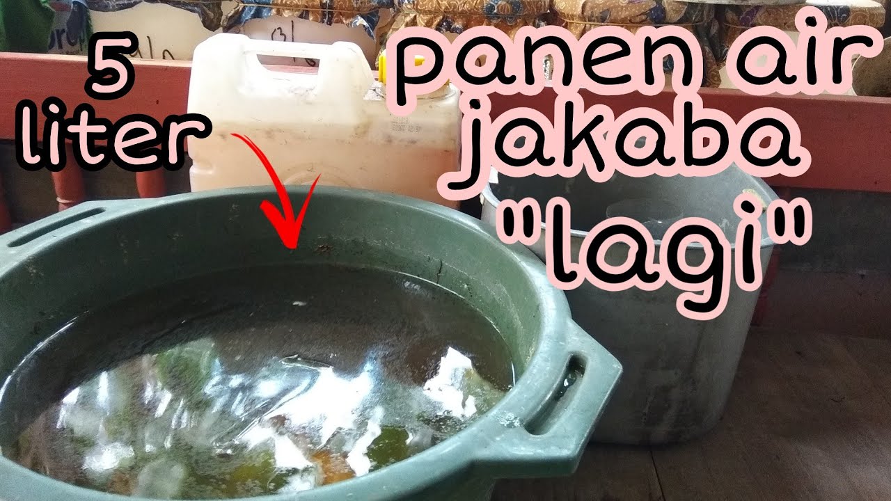 "Lagi" panen air JAKABA | Cara mudah panen air JAKABA - YouTube