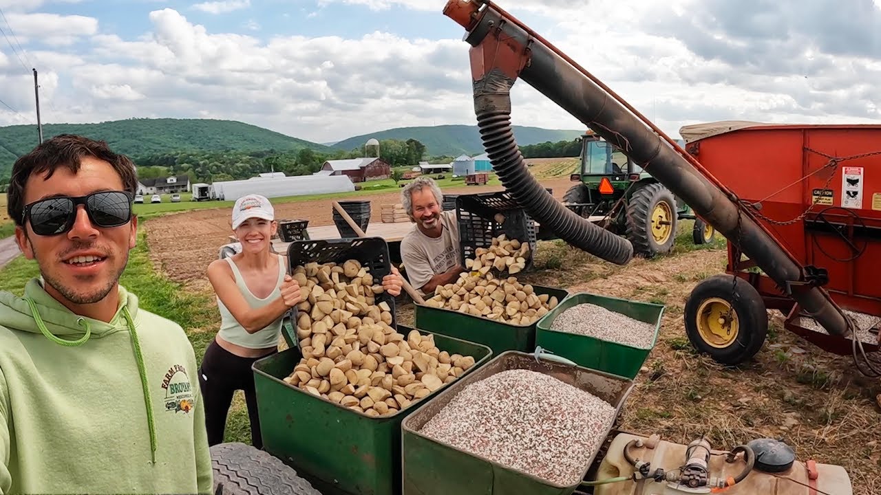 Planting Potatoes Can Be Complicated - YouTube