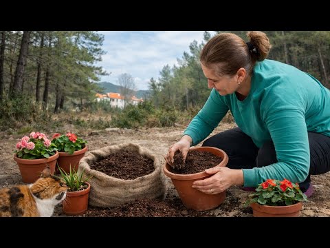 ORMANA GİTTİK , BEDAVAYA GETİRDİK / İFTAR HAZIRLIĞI / GÜNLÜK VLOG