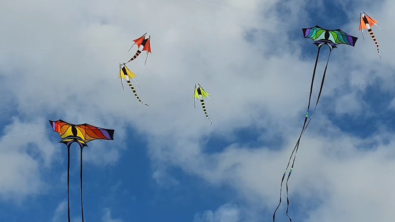 Robert Brasington - Stammes Genki Kite and Friends - YouTube