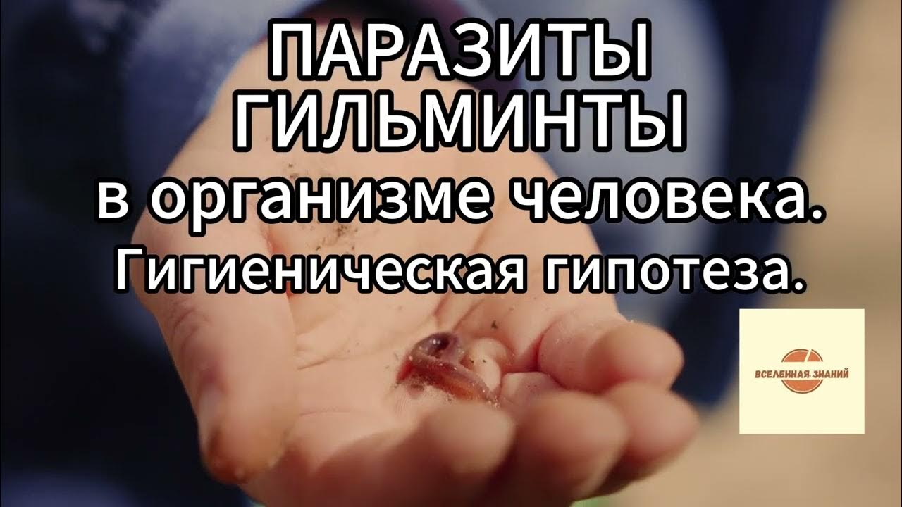 074 Паразиты, гельминты в организме человека. Гигиеническая гипотеза ...