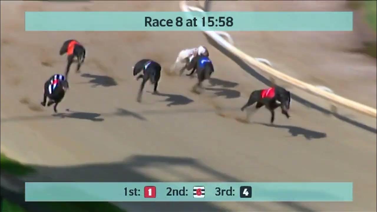 Monmore Greyhounds Races on 10th May 2023 - YouTube Monmore Greyhounds Races on 10th May 2023 - YouTube