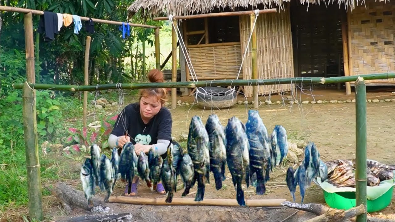 Lucky day - Catching a huge batch of fish and grilling them perfectly ...