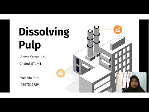 Teknologi Pembuatan Pulp 3 Dissolving Pulp. Yolanda Putri TPK B 23 UNRI ...