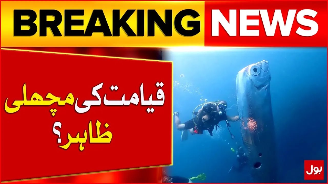 Fish Of Doomsday appeared? | Signs of Day of Judgment fulfilled ...