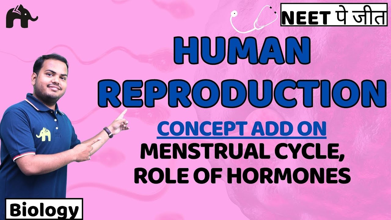 Human Reproduction Class 12 NEET | Menstrual Cycle, Role of Hormones ...