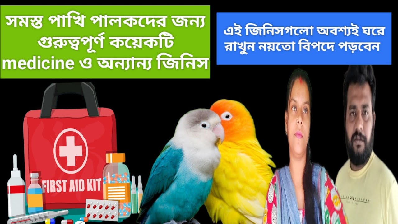 Very important medicine and other things for all exotic birds।first-aid ...