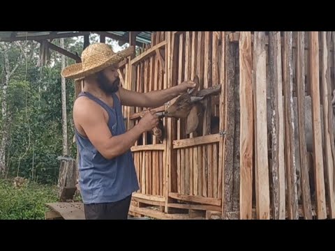 Goat deworming / pagpupurga sa kambing / best dewormer / pinakamabisang ...
