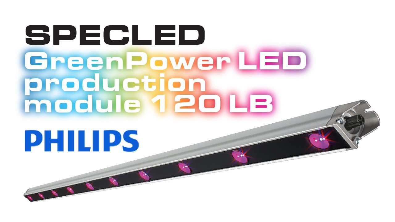 Фитолампа Philips GP LED DR/B 120 LB для вертикальных ферм. Свеодиодна ...
