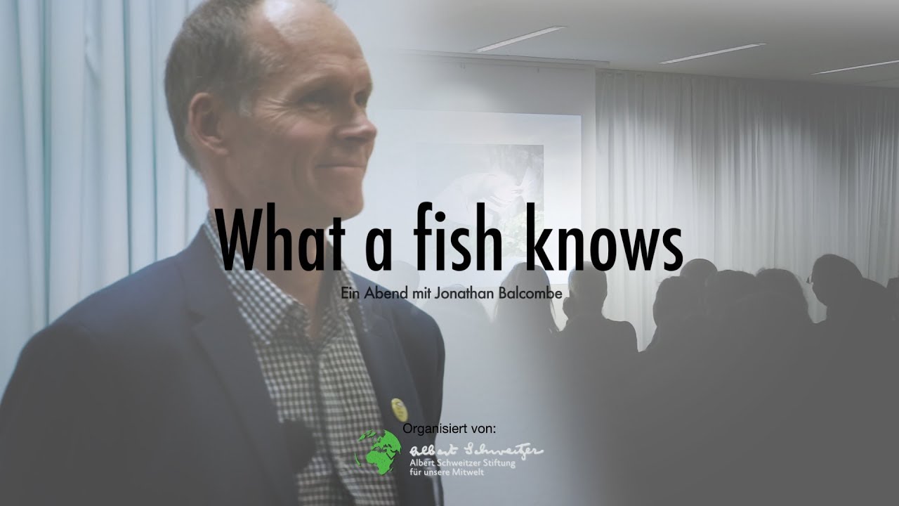 »What a fish knows« – Vortrag von Jonathan Balcombe - YouTube