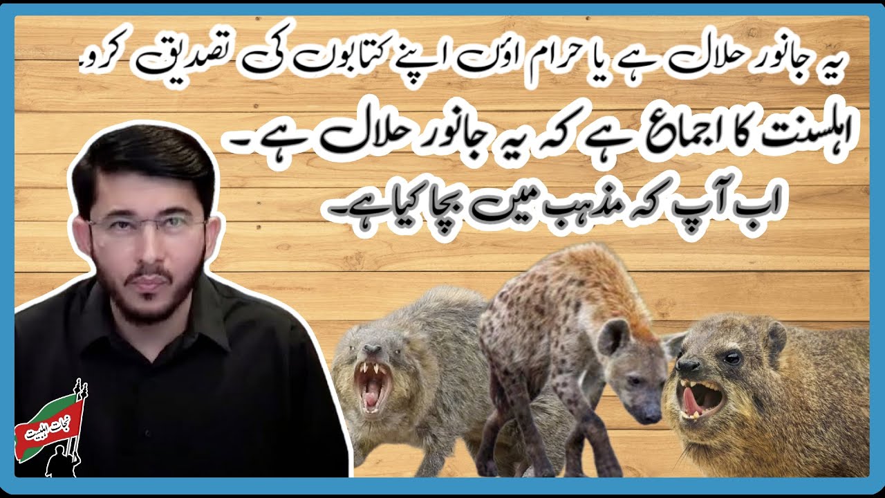 Arab Diet Hyena Aur Waber Ehlesunat Ka Ijma Hai Hyna Hilal Hai ! Hassan ...