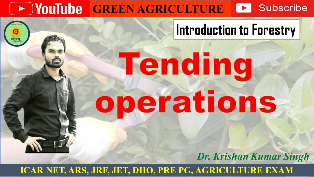 Tending operation II Forestry II Forest - YouTube