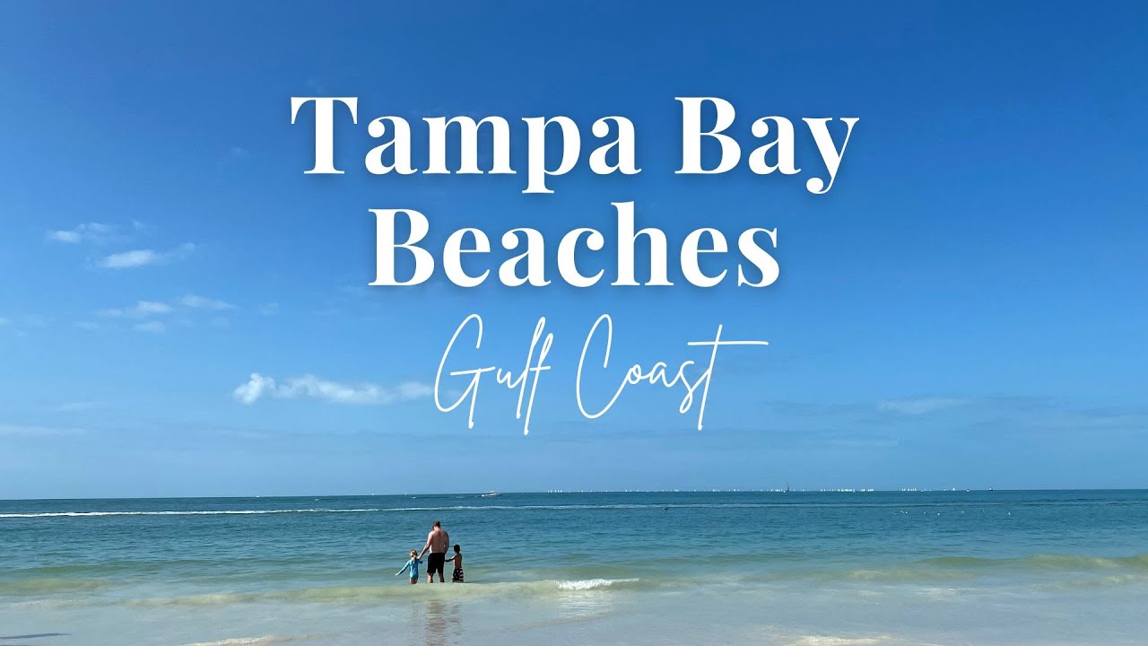 Best Beaches In Tampa Bay Area Tampa Beaches: 8 Best Beaches Near