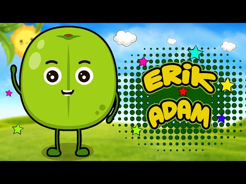 Erik Adam Şip Şap Şop | Meyveleri Öğrenelim-Eğlenceli Bebek ve Çocuk Şarkısı-Çizgi Film | Furkiş TV