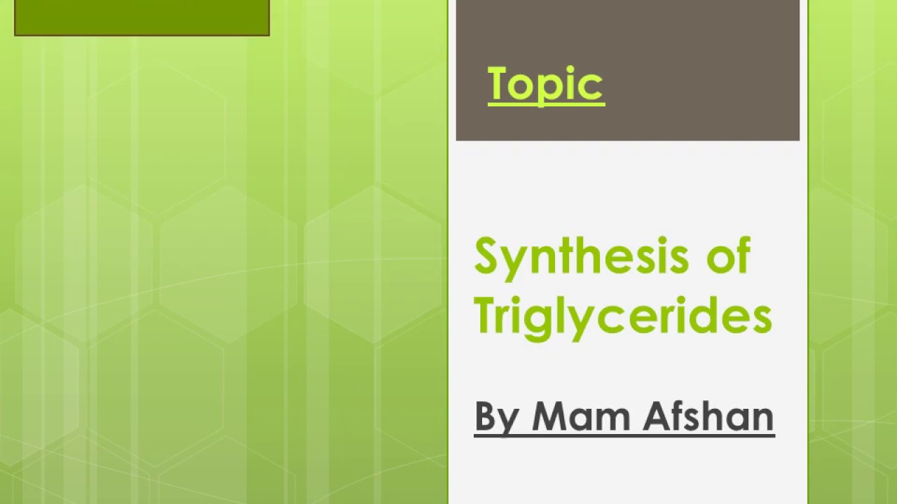 PHL-309 | Topic:- Synthesis of Triglycerides | First Year | DR.AFSHAN ...