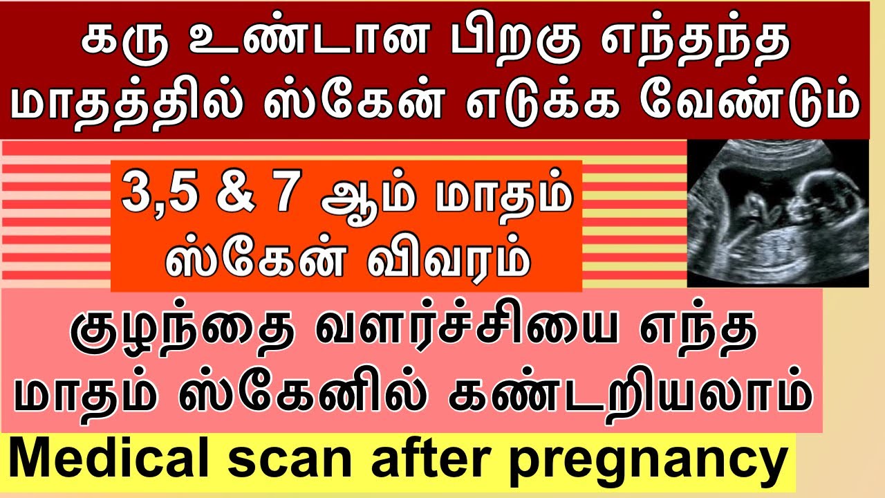 3,5 & 7 month | Pregnancy Scan Detail | கர்ப்ப ஸ்கேன் எப்போது ...