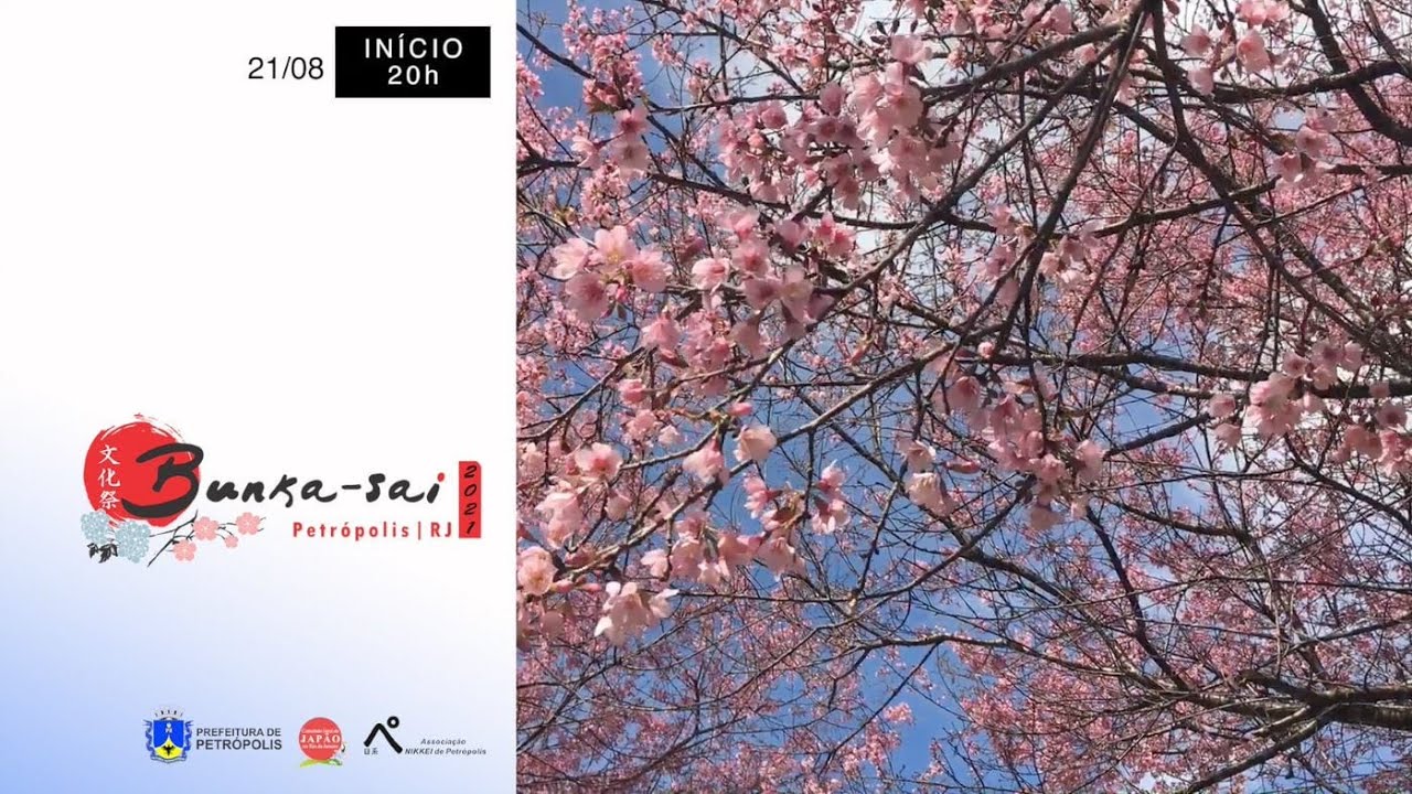 BUNKA-SAI 2021: Festival da Cultura Japonesa em Petrópolis - Edição ...