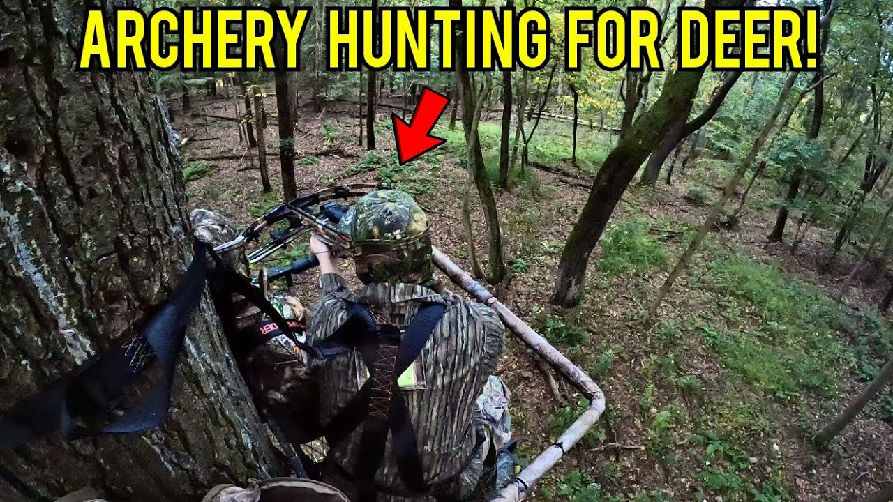 PA Archery Hunting Deer Season! Early October evening sit! - YouTube
