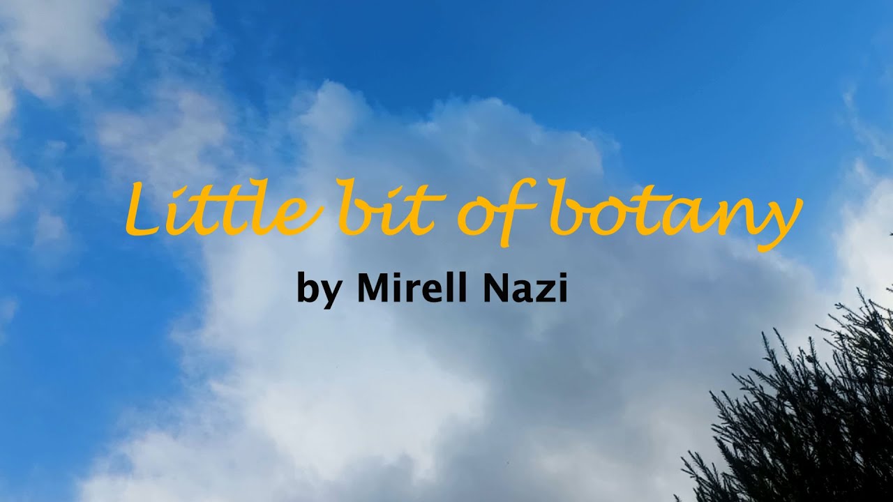 Little bit of botany ( the plant tour ) - YouTube