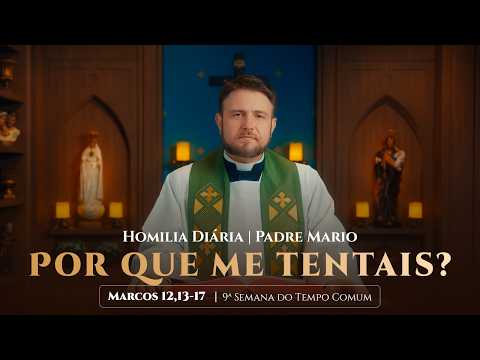 Homilia Diária | Terça-feira - 9ª Semana do Tempo Comum (Mc 12,13-17)