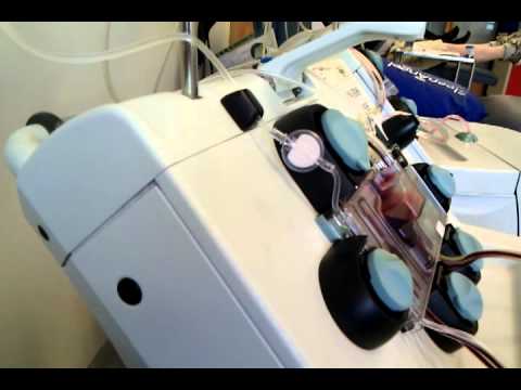 Platelet Apheresis at IBTS in Dublin