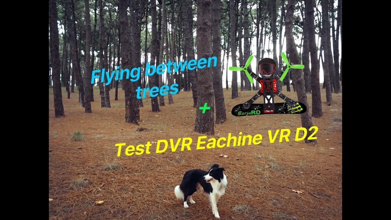 Test DVR eachine VR D2 + Flying between trees - YouTube