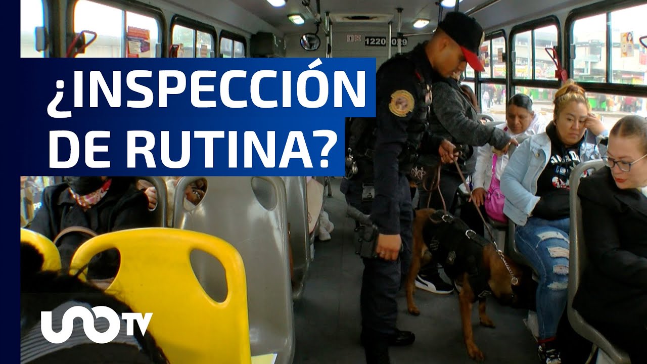 ¿Son legales las inspecciones policiales de rutina? Te explicamos - YouTube